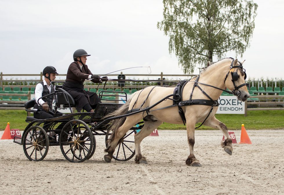 «Eit perfekt stemne for å vise allsidigheita til hestane våre ...